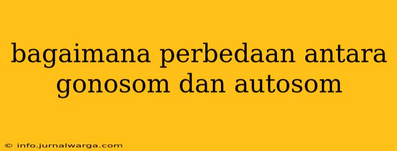 bagaimana perbedaan antara gonosom dan autosom