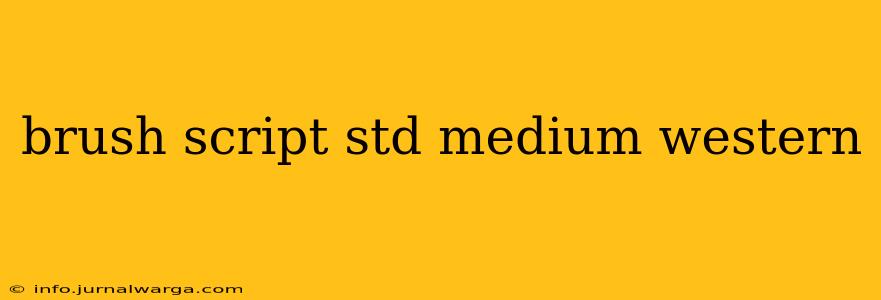brush script std medium western
