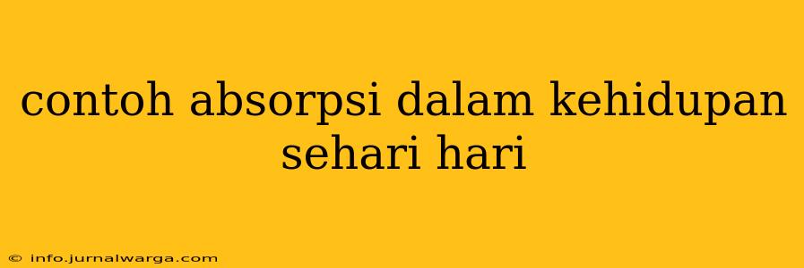 contoh absorpsi dalam kehidupan sehari hari