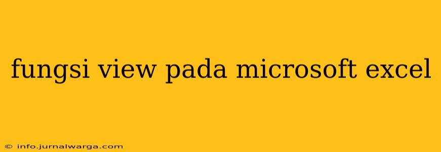 fungsi view pada microsoft excel