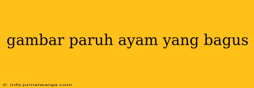 gambar paruh ayam yang bagus