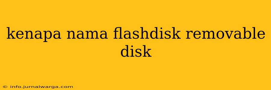 kenapa nama flashdisk removable disk