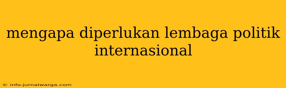 mengapa diperlukan lembaga politik internasional
