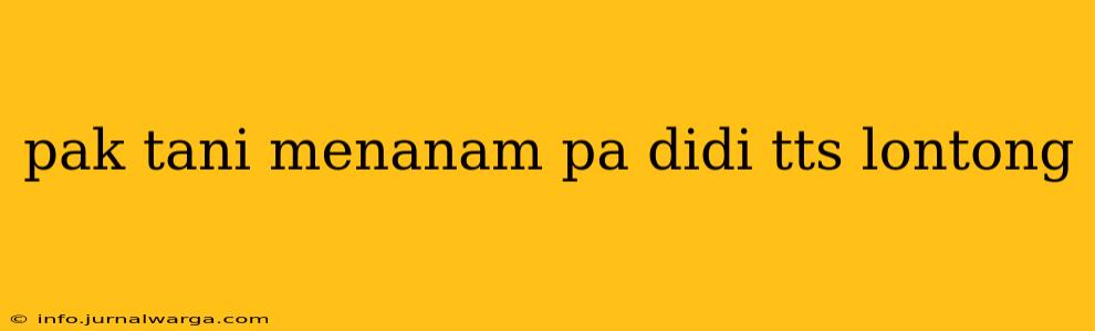 pak tani menanam pa didi tts lontong