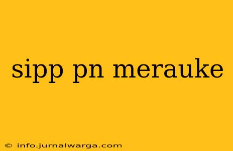 sipp pn merauke